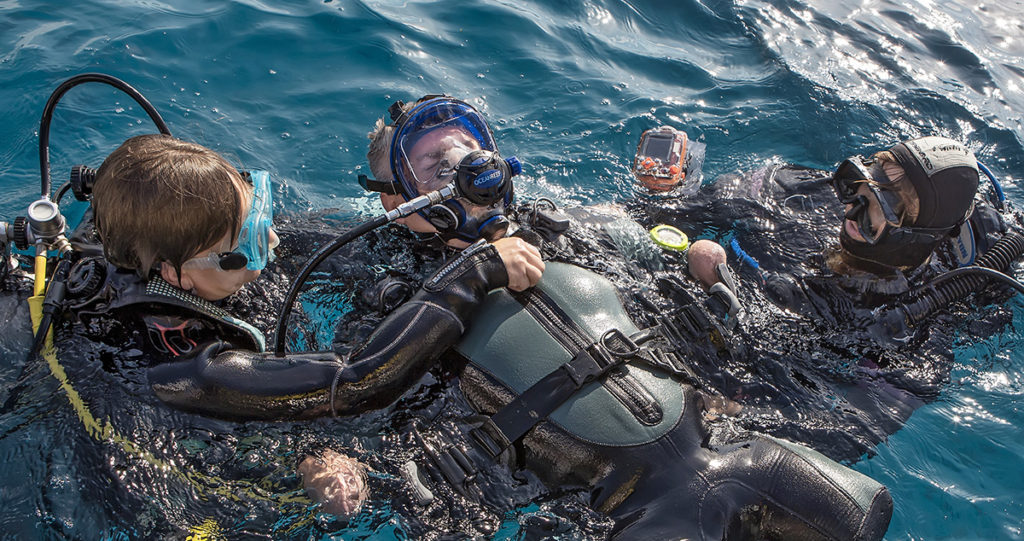 PADI Adaptive Support Diver vs DDI Assistant Diver - KnyazevDA.com